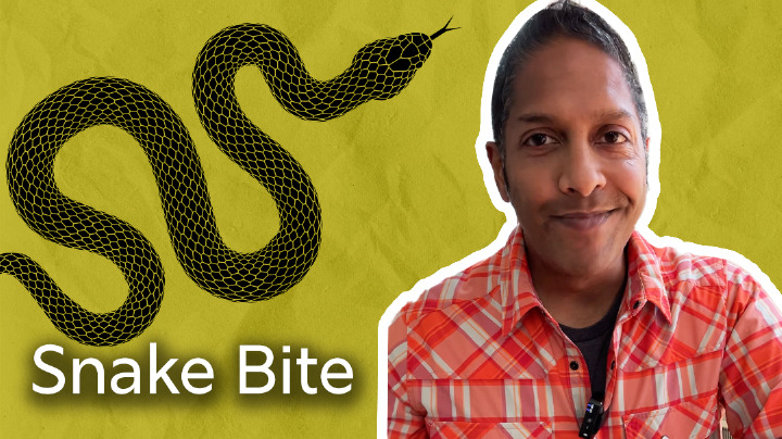 HD - Snake Bite | EM:RAP